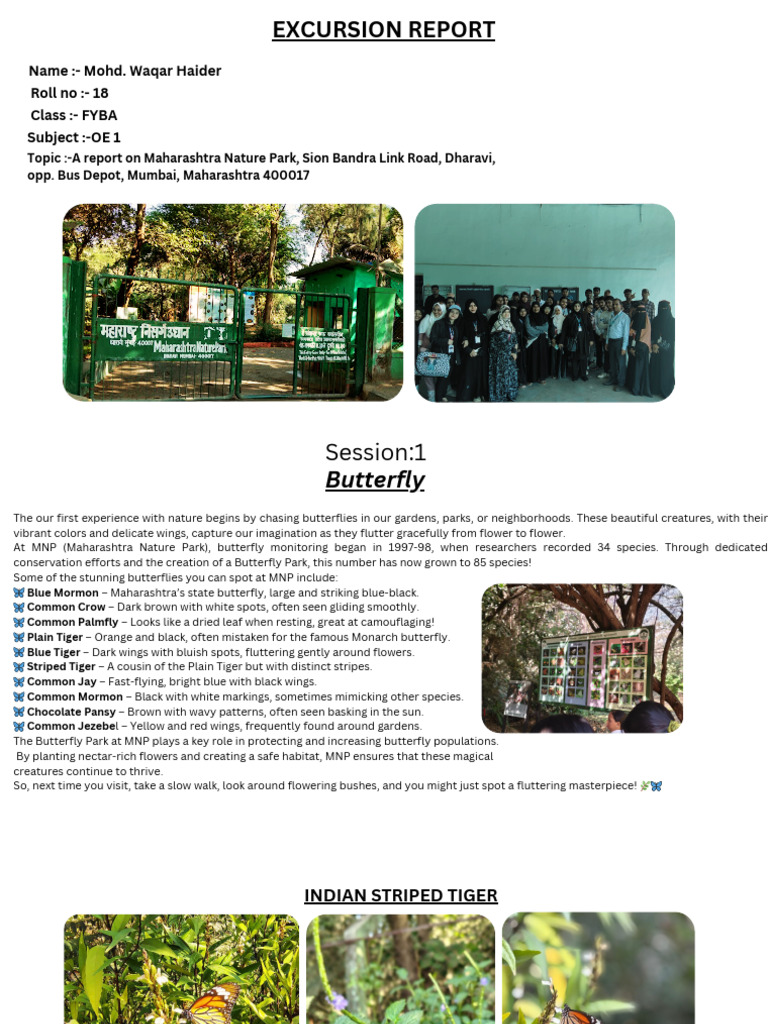 Name - Mohd. Waqar Haider (N) | PDF | Spider | Butterfly