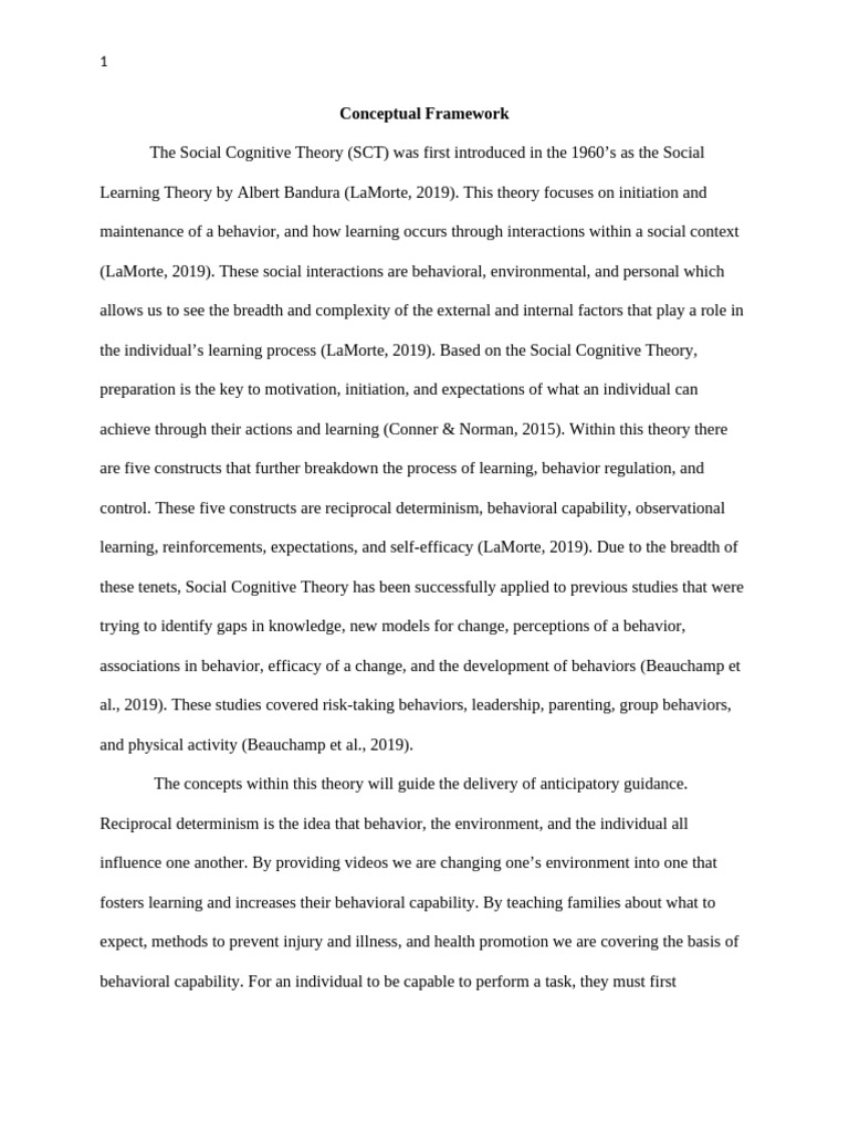 ConceptualFramework Celler | PDF | Cognitive Psychology | Psychology