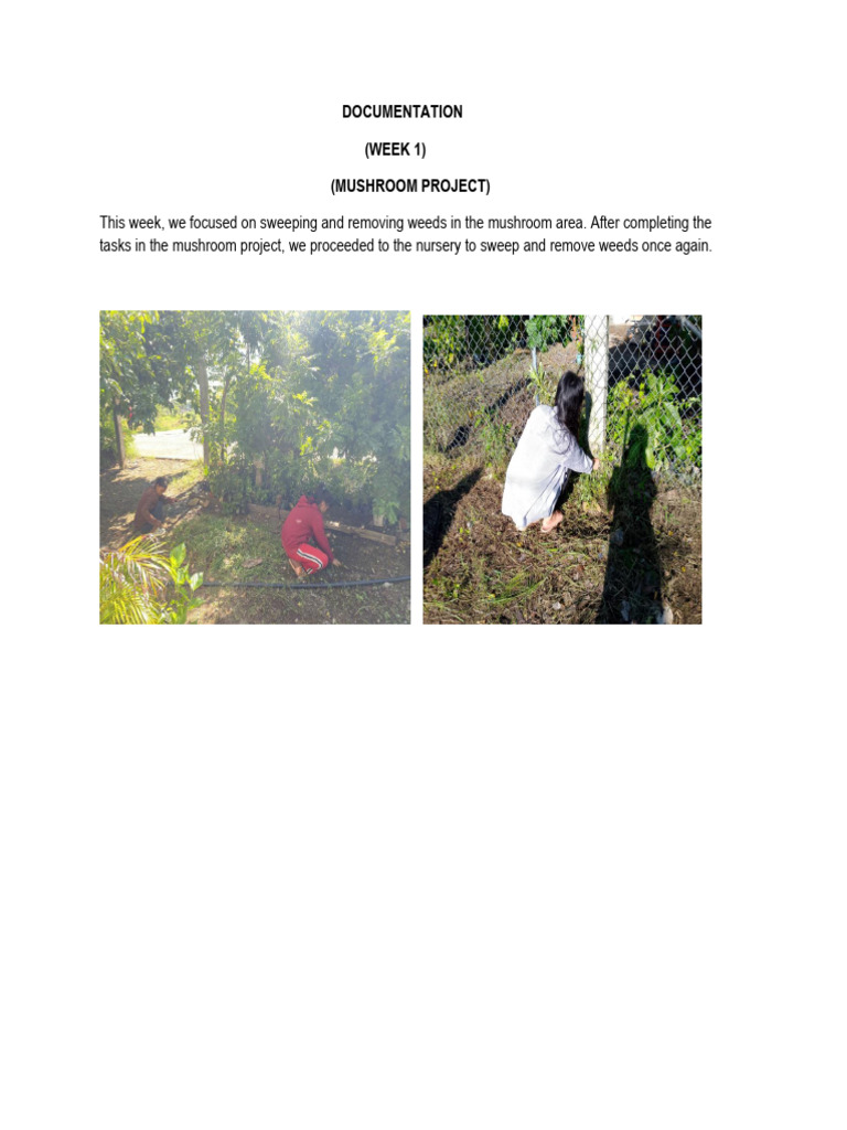 DOCUMENTATION-WPS Office | PDF