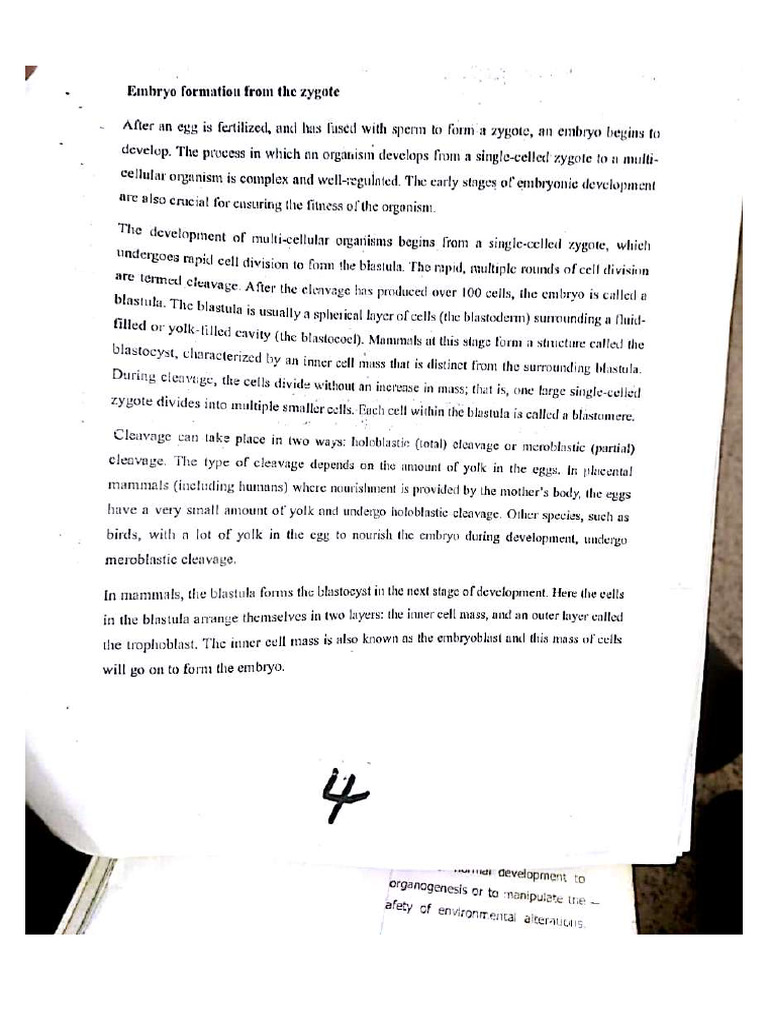 Scanned Document Analysis | PDF