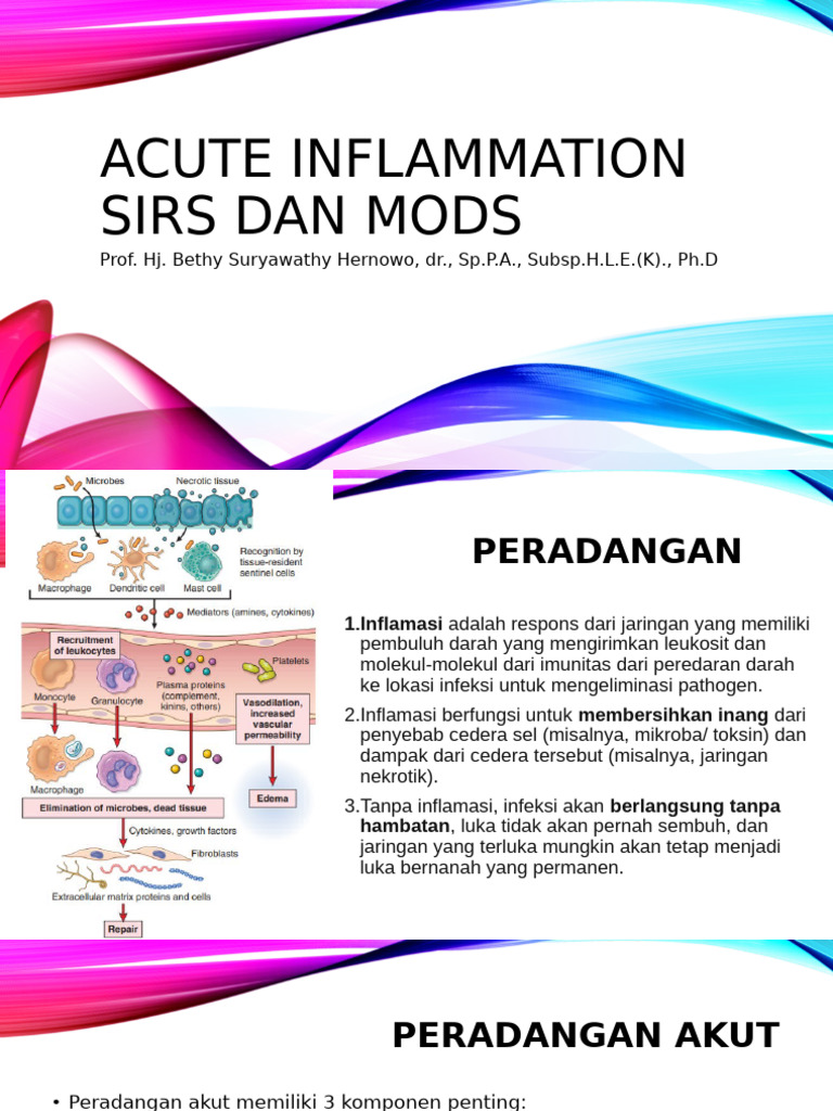 Acute Inflamation SIRS Dan MODS | PDF