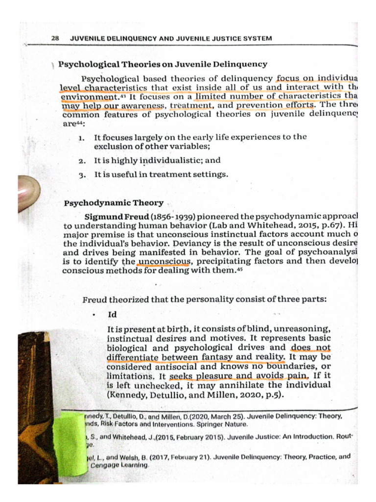 Reviewer Amen | PDF