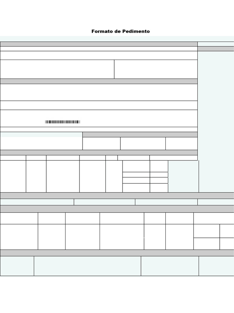 Formato de Pedimento | PDF | Business