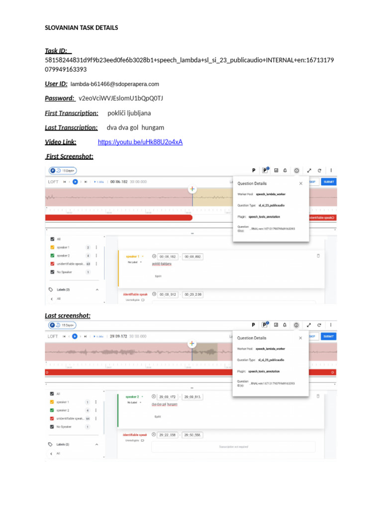 Slovanian Task Details | PDF