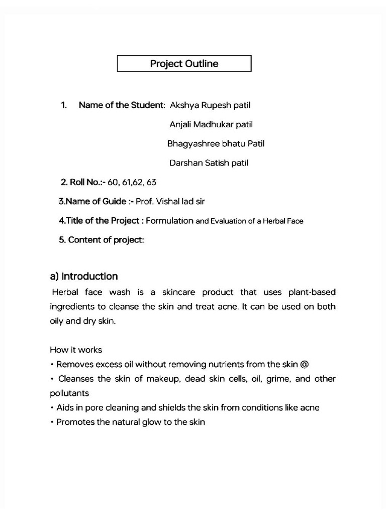 Project Outline | PDF