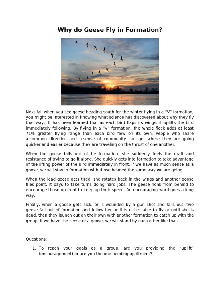 The Science Behind Geese's V Formation | PDF | Goose
