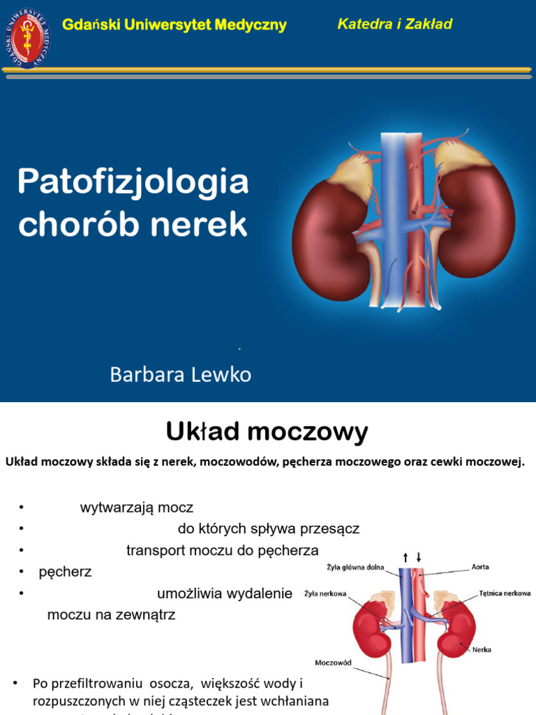 Choroby Nerek | PDF