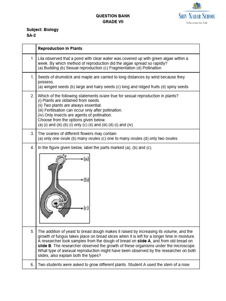 Grade VII Biology Question Bank: Reproduction | PDF | Plants | Urinary ...