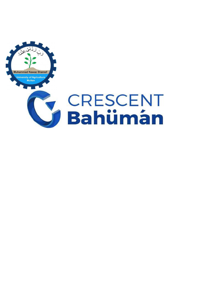 Crescent Bahuman Internship Report | PDF | Enterprise Resource Planning ...