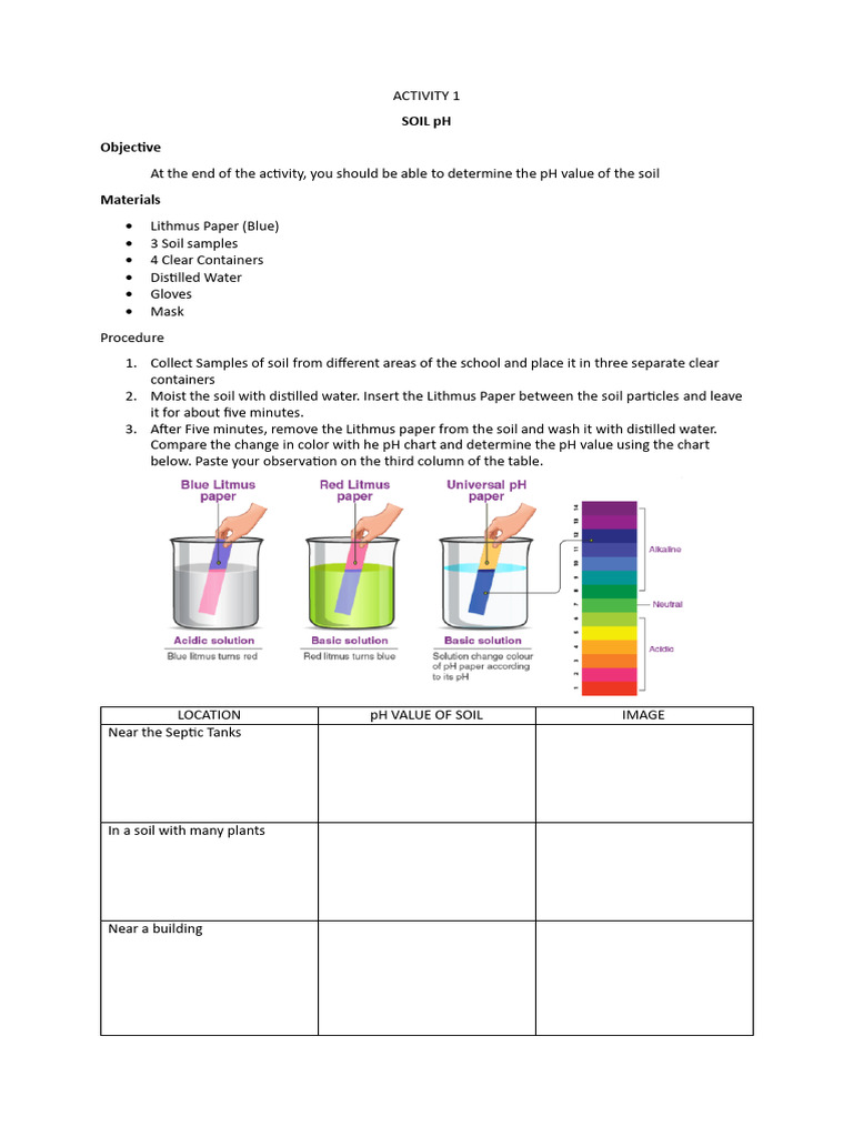Soil Experimentation Activity Sheet | PDF | Soil | Water