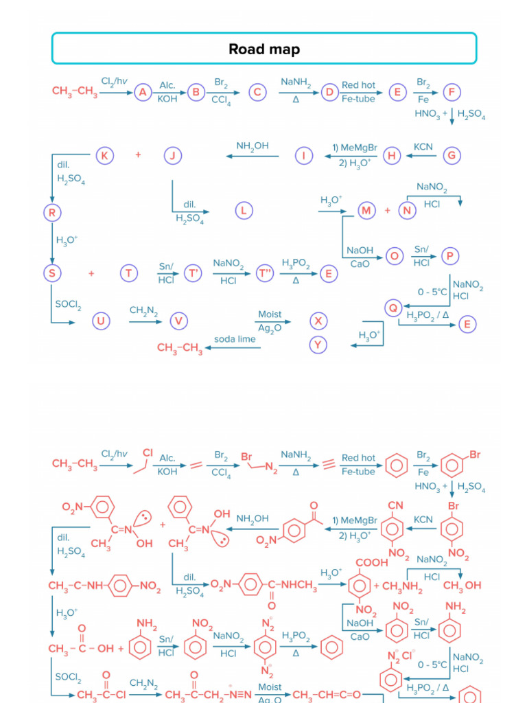 Selfstudys Com File (2) | PDF