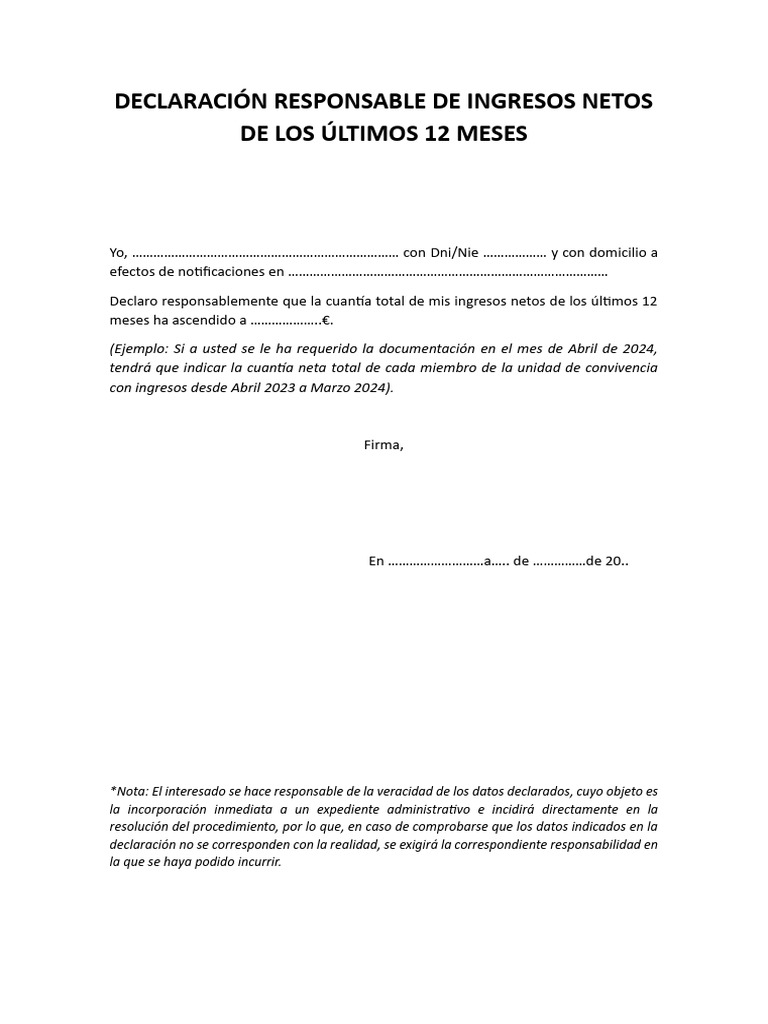 Modelo de Declaración de Ingresos Netos | PDF