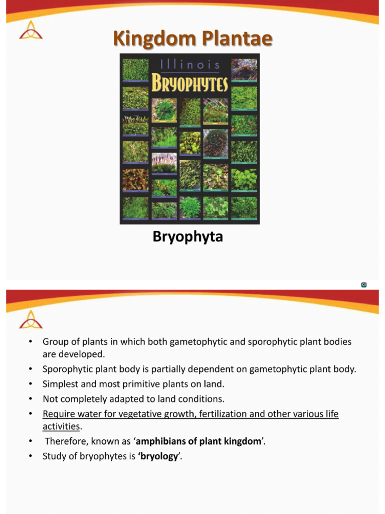 Bryophyta 1 Characteristics and Classification | PDF