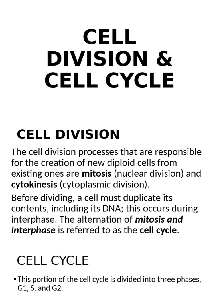 Cell Division and Cycle Explained | PDF | Meiosis | Mitosis