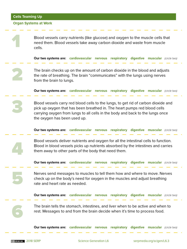 l6.3 Six Body System Riddles. | PDF