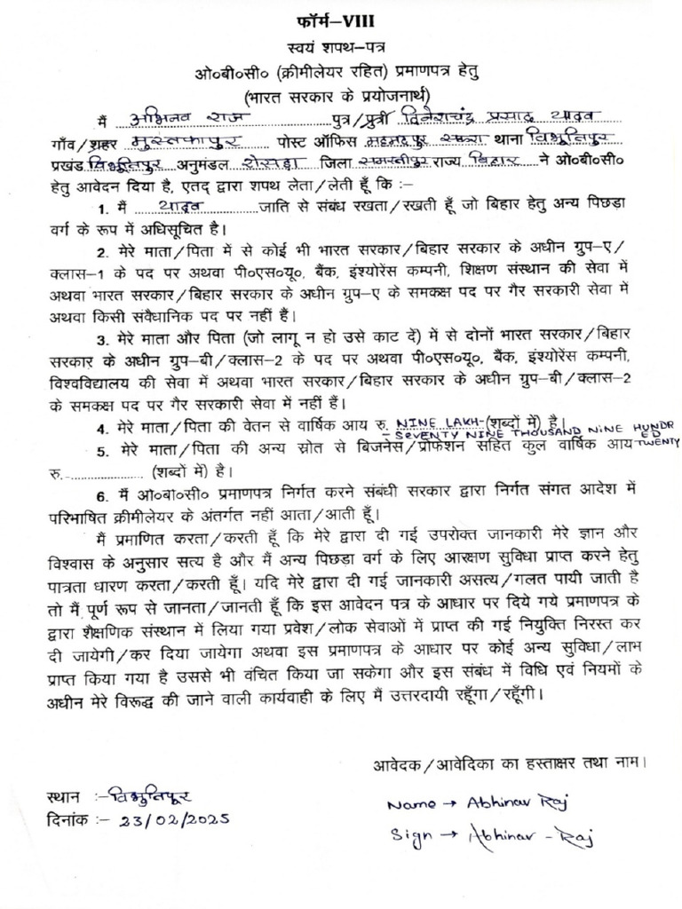 Form Viii | PDF