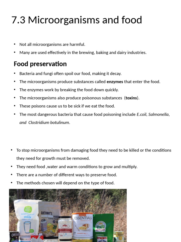 7.3 Microorganisms and Food | PDF | Yeast | Foods