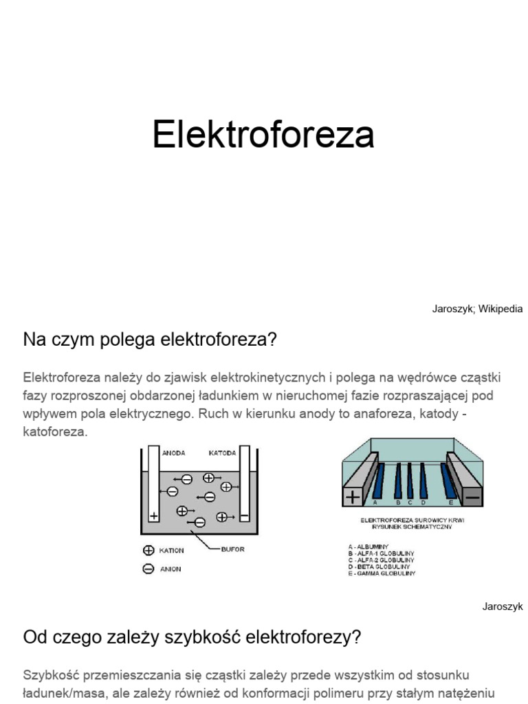 Elektroforeza | PDF