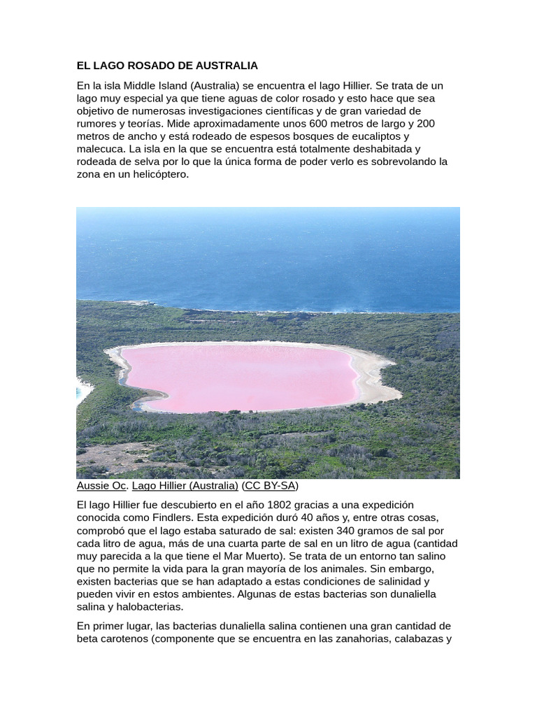 El Lago Rosado de Australia | PDF | sal | Color