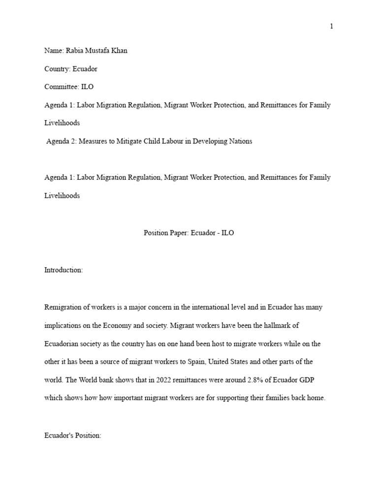 ILO ECUADOR Position Paper | PDF | International Labour Organization ...