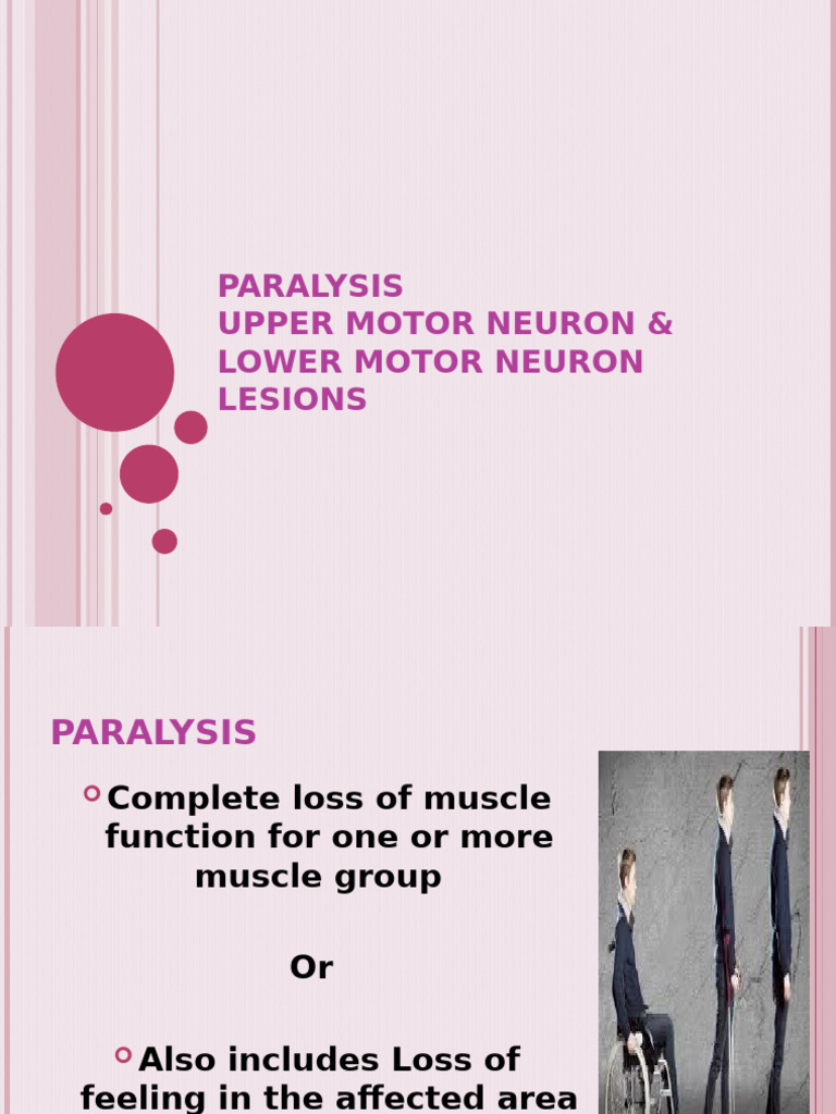 6. Paralysis & UMN,LMN Lesions | PDF | Spinal Cord | Nervous System