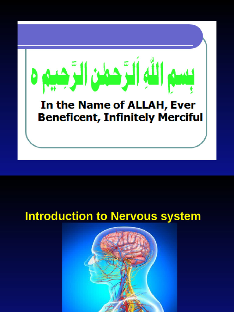 Introduction To CNS | PDF | Nervous System | Neuron