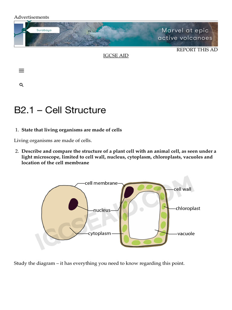 B2.1 – Cell Structure – IGCSE AID | PDF | Sex | Ploidy