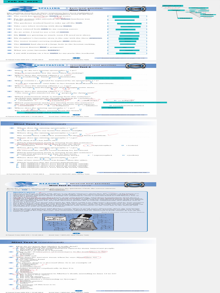 Arshya Qureshi Naplan Year 07 | PDF