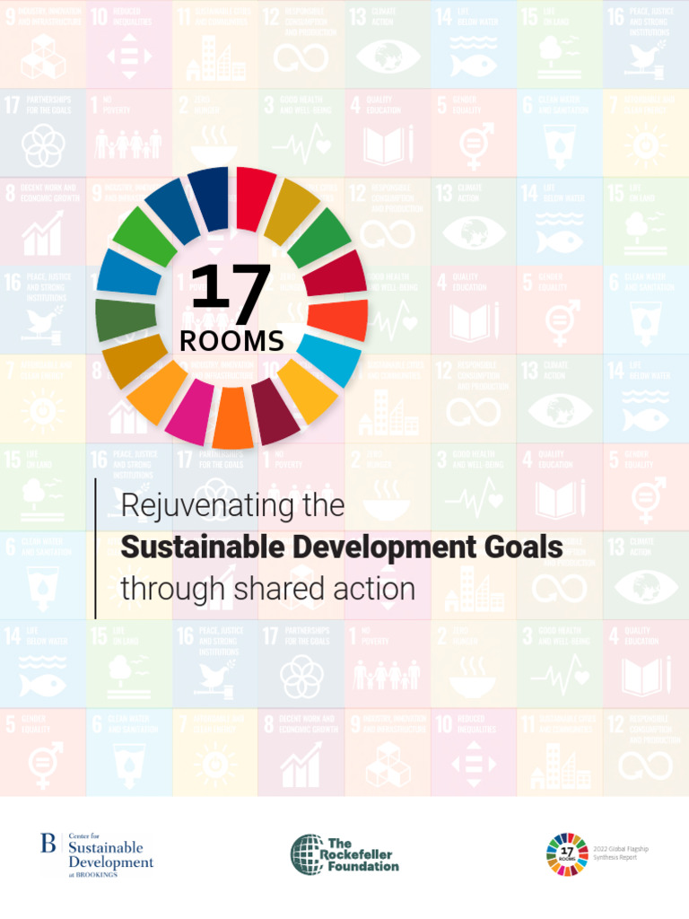 Rejuvenating-the-Sustainable-Development-Goals-through-shared-action-17 ...