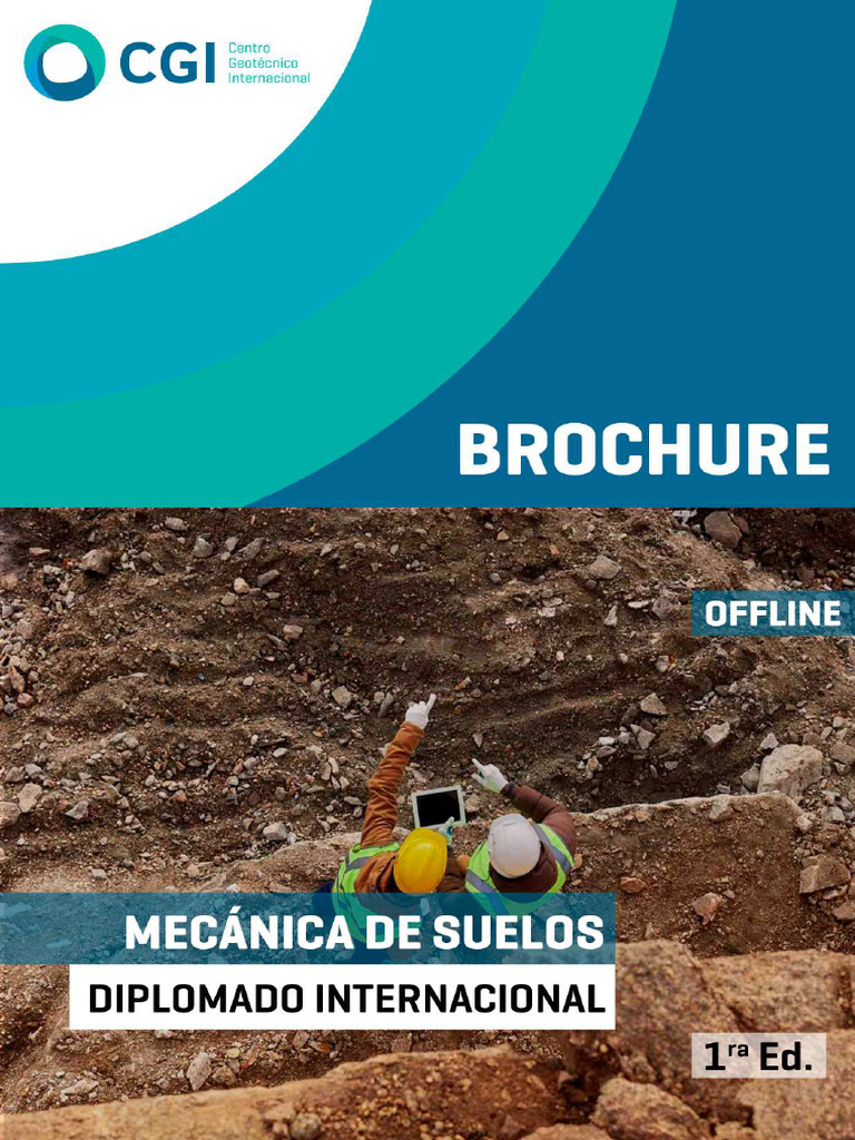Brochure Dms v1 Esp Offline | PDF