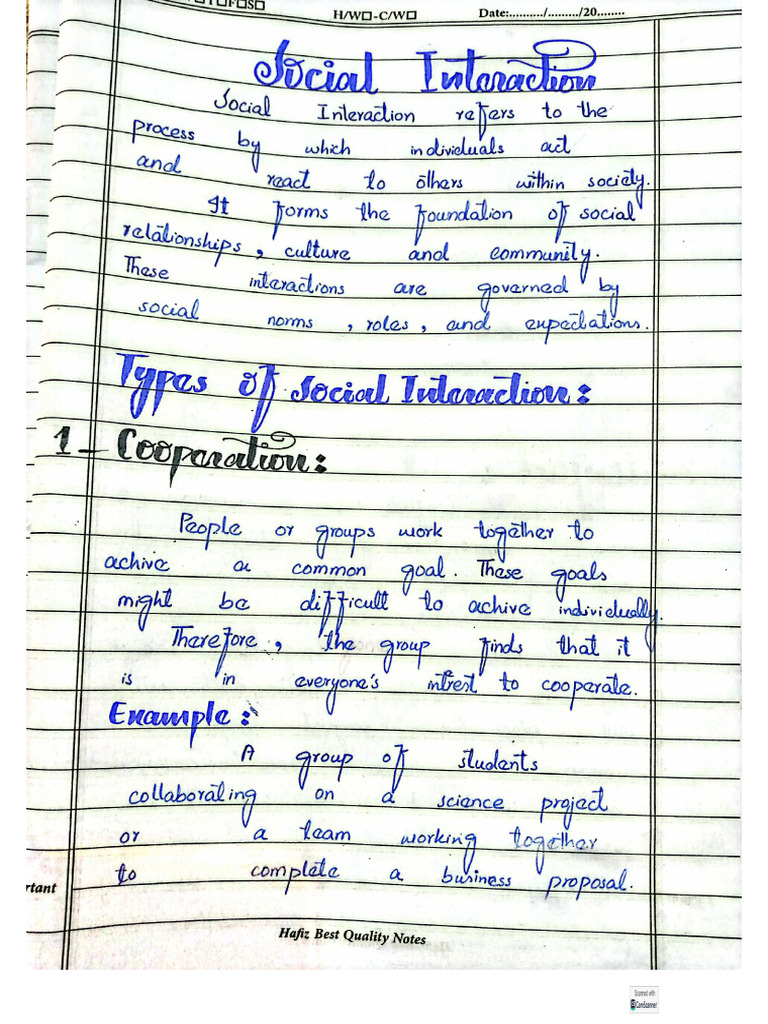 Social Interaction | PDF