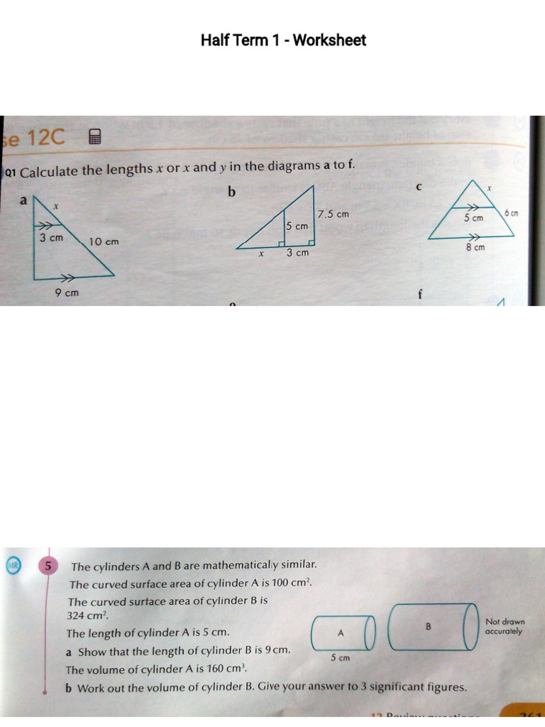 Half Term 1 Worksheet Overview | PDF