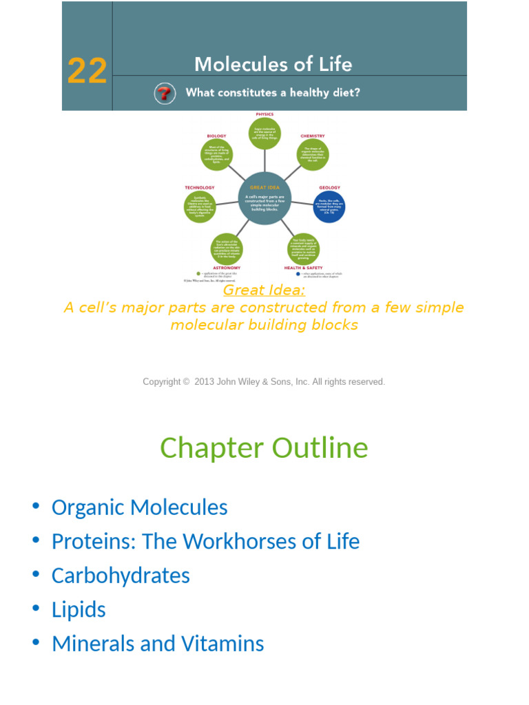 ch22 Molecules of Life | PDF | Proteins | Carbohydrates