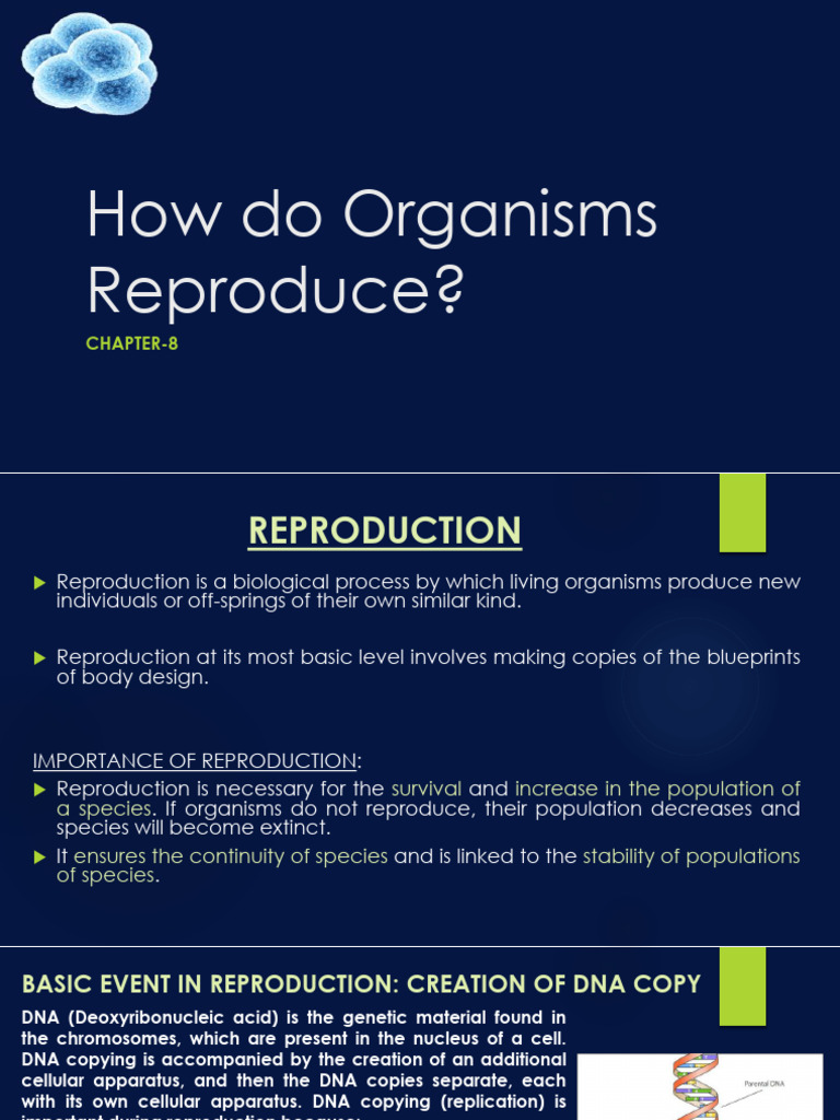 Understanding Organism Reproduction | PDF | Flowers | Menstrual Cycle