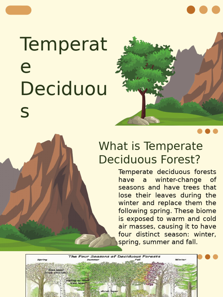 Temperate Forests: An Overview | PDF