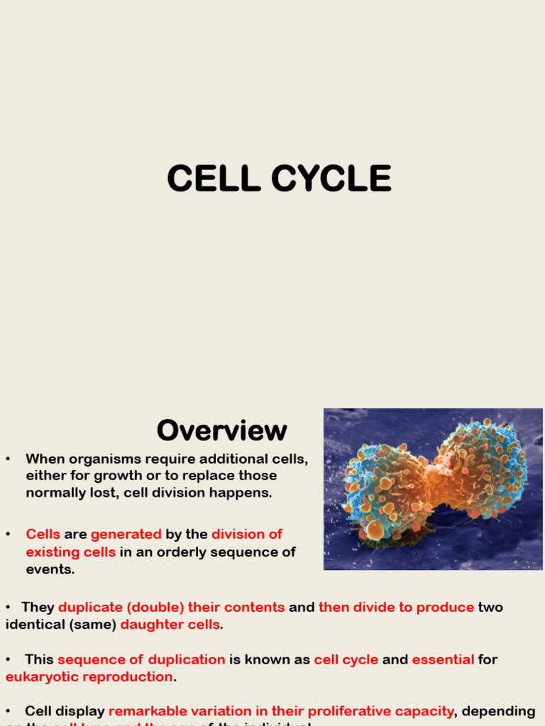 Lecture 3-cell cycle | PDF | Mitosis | Molecular Biology