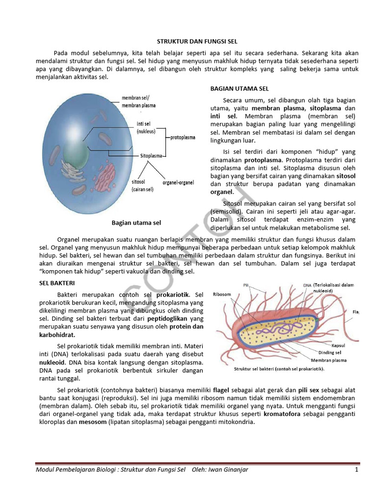 Modul Struktur Dan Fungsi Sel | PDF