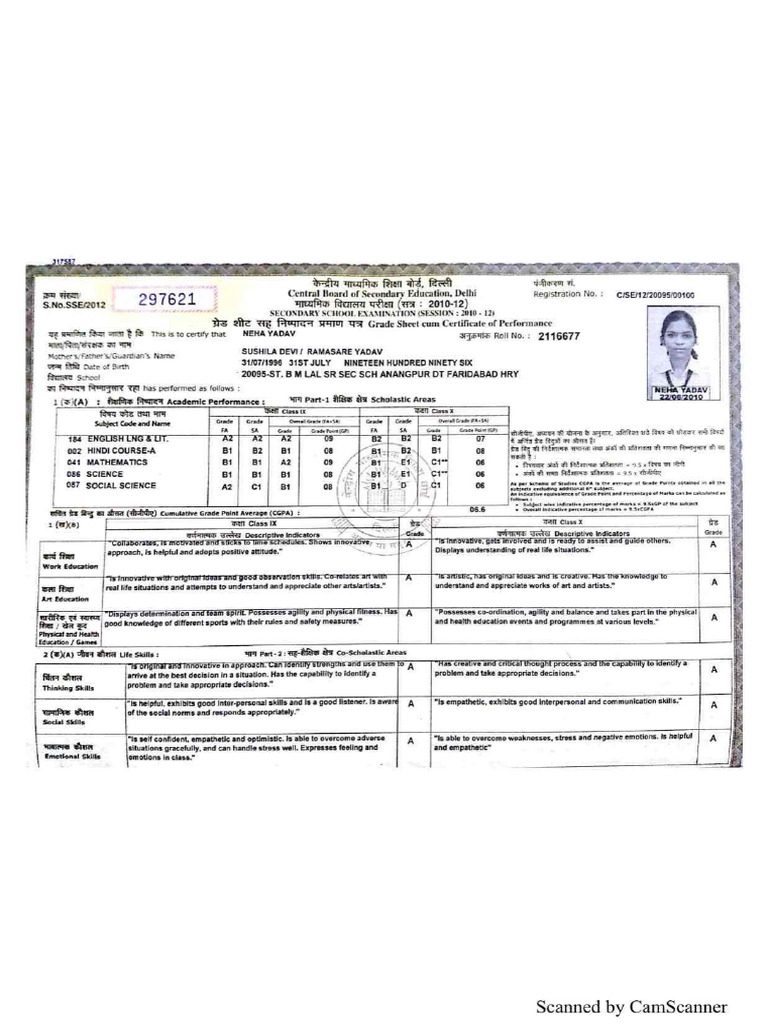 Common Documents | PDF