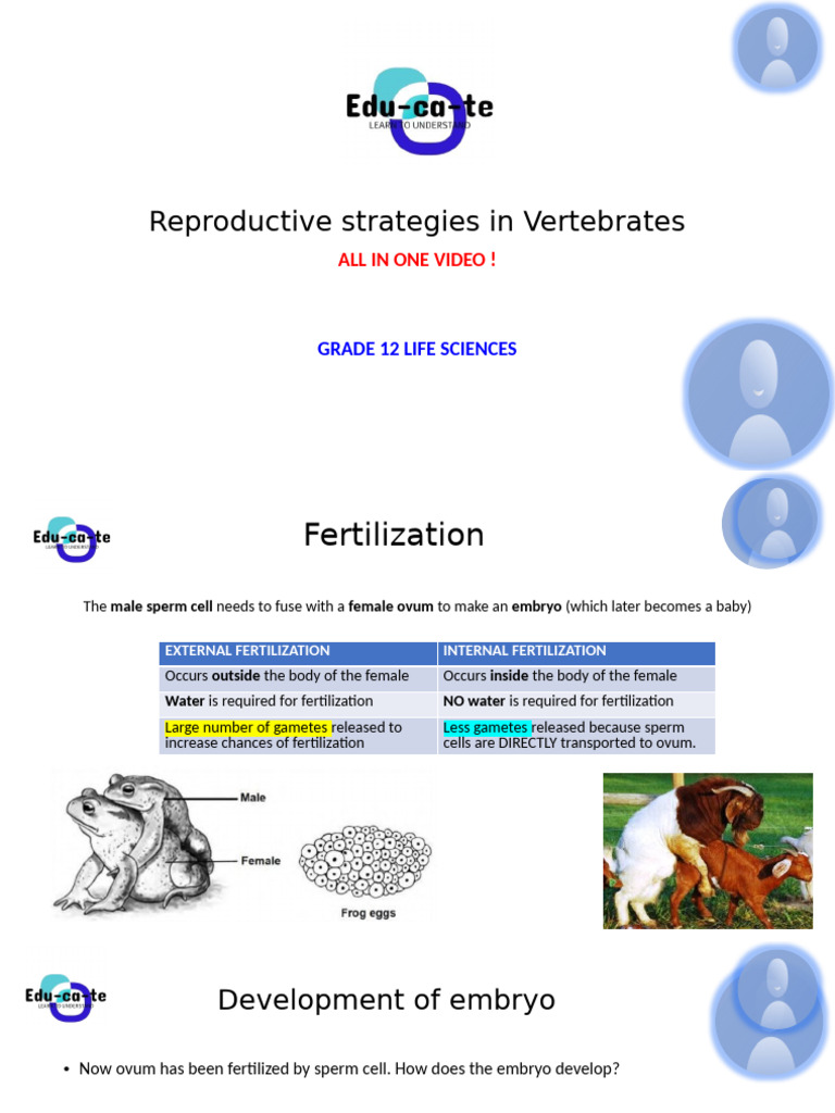 Reproduction - Grade 12 | PDF | Menstrual Cycle | Ovary