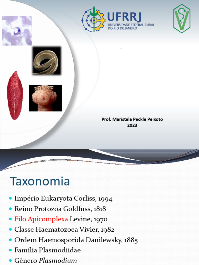 AULA TEORICA 2023 Plasmodiidae Haemoproteidae Hepatozoidae Piroplasmida ...