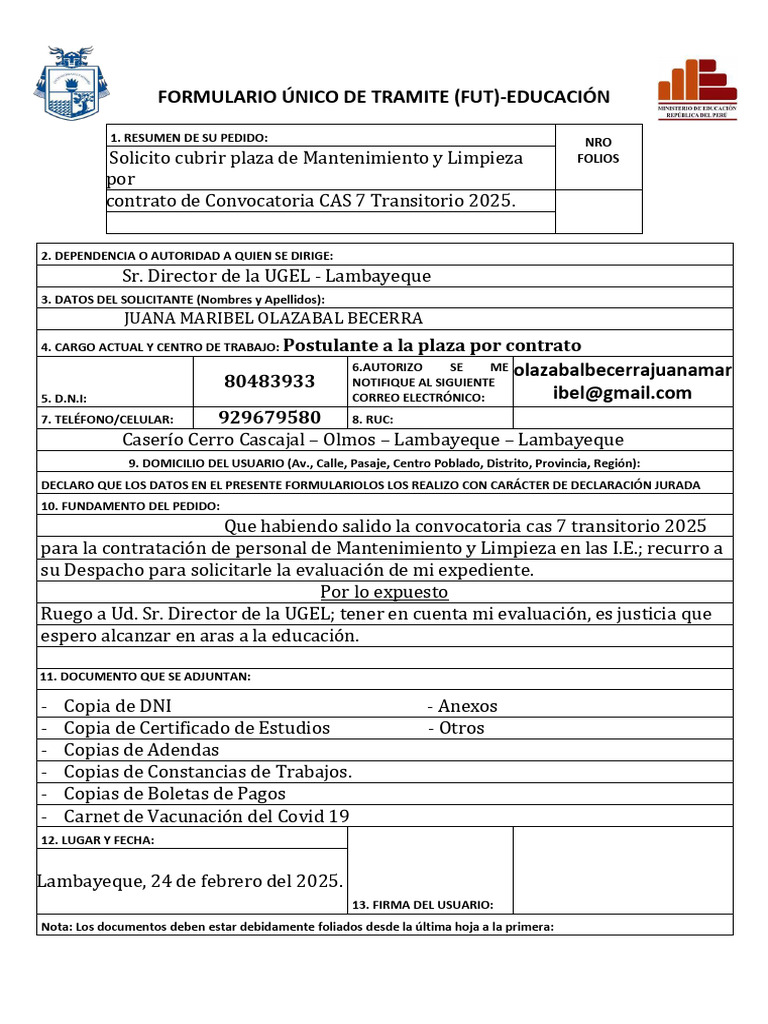 Formulario Único de Tramite (Fut) - Educación: Postulante A La Plaza Por Contrato 80483933 ...