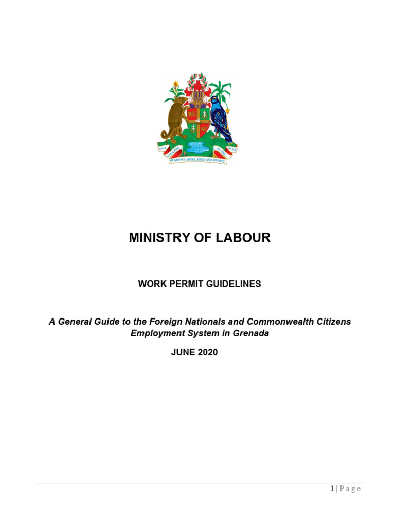 Labour Work Permit Guide | PDF | Travel Visa | Employment