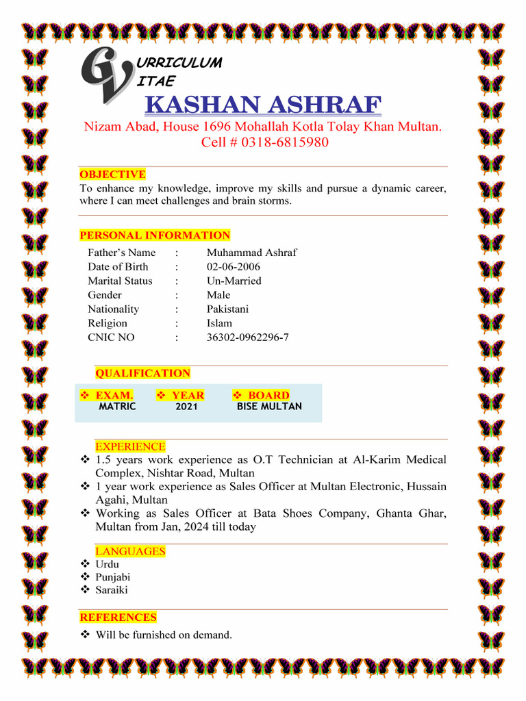cv KASHAN ASHRAF | PDF