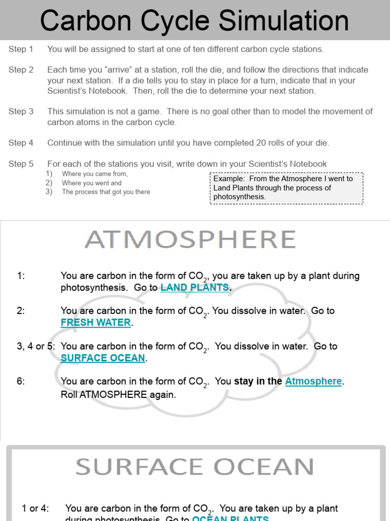 Carbon Cycle Simulation Instructions | PDF | Carbon Dioxide | Oceans