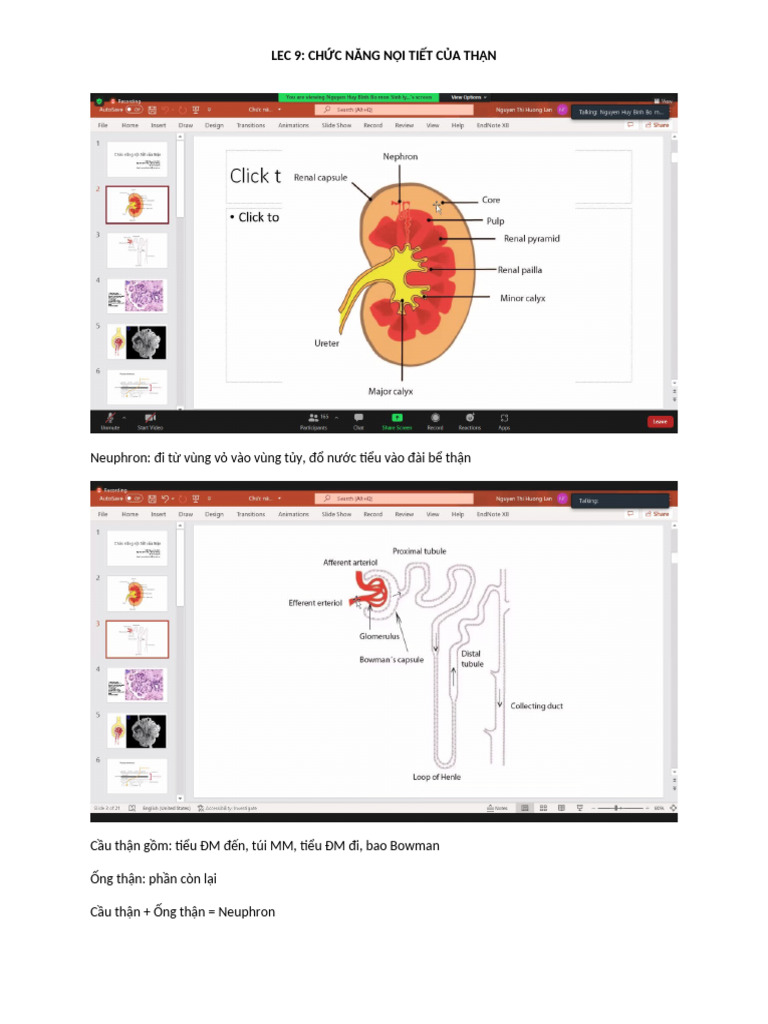 Lec9 S2.10 Hmu | PDF