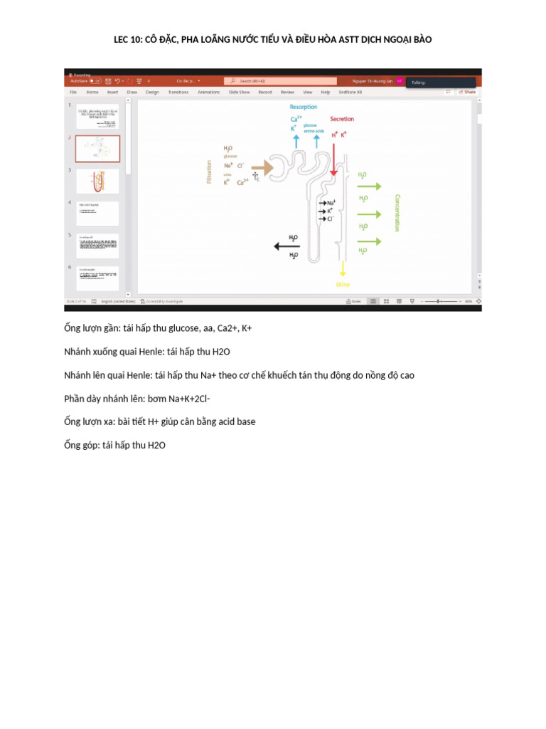 Lec10 S2.10 Hmu | PDF