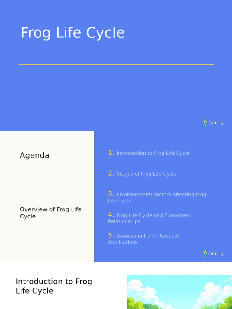 Slide Frog Life Cycle | PDF | Frog | Predation