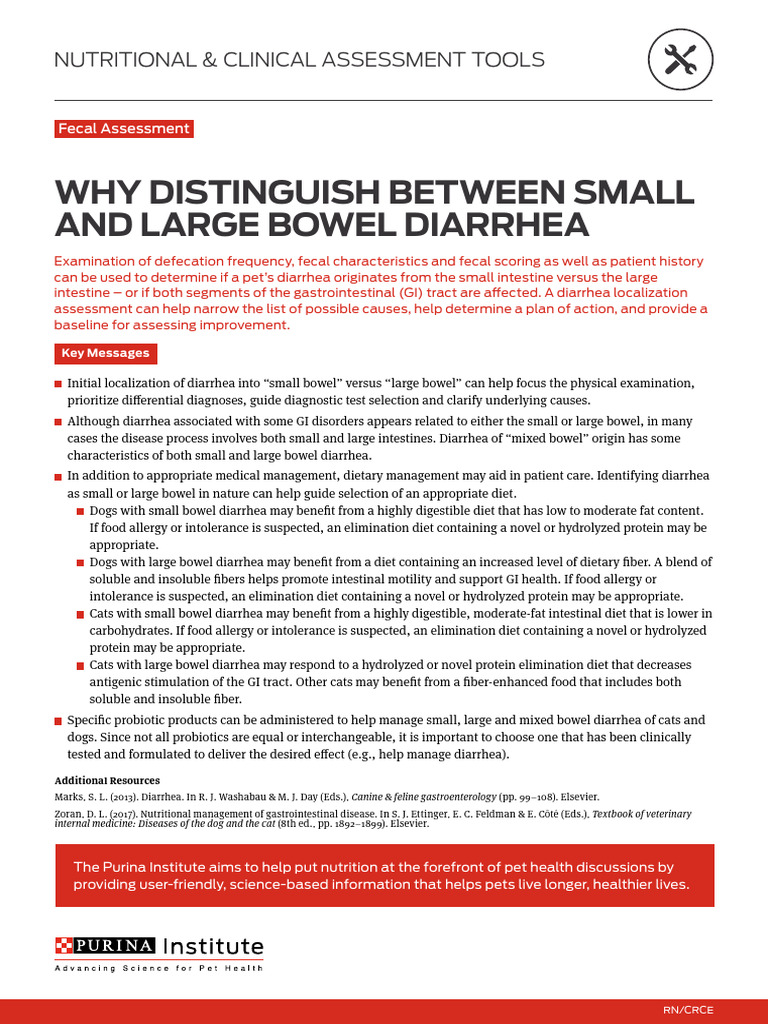 Why Distinguish Between Small and Large Bowel Diarrhea | PDF ...