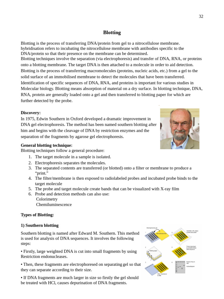 Blotting techniques | PDF | Blot (Biology) | Gel Electrophoresis
