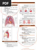 Anatomy Heart Cadaver | PDF | Heart Valve | Coronary Circulation